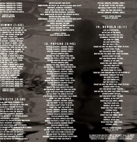 SYSTEM OF A DOWN: TOXICITY Second Studio Album (2001)