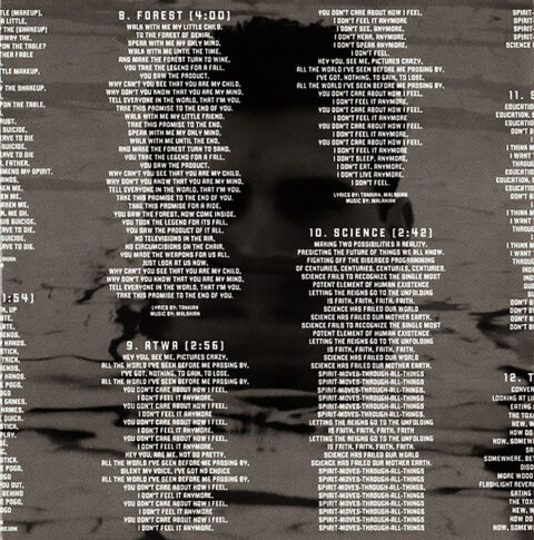 SYSTEM OF A DOWN: TOXICITY Second Studio Album (2001)