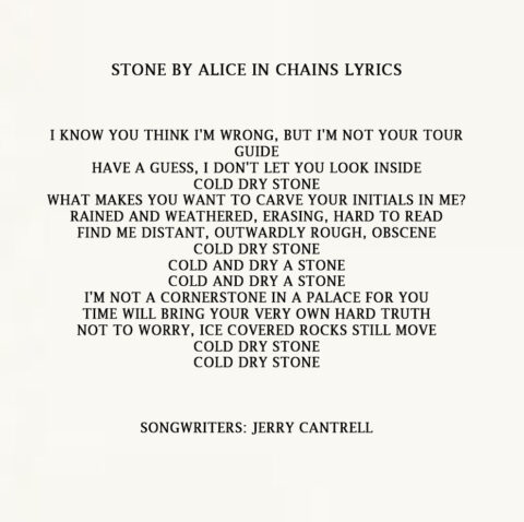Alice In Chains Stone Single Album 2013