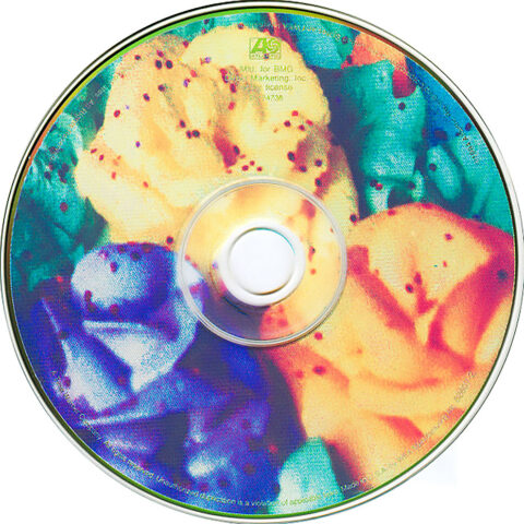 STONE TEMPLE PILOTS: PURPLE Second Studio Album (1994)