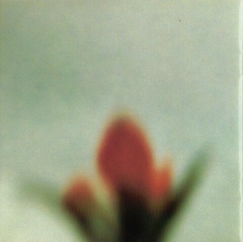 NINE INCH NAILS: THE FRAGILE Third Studio Album (1999)