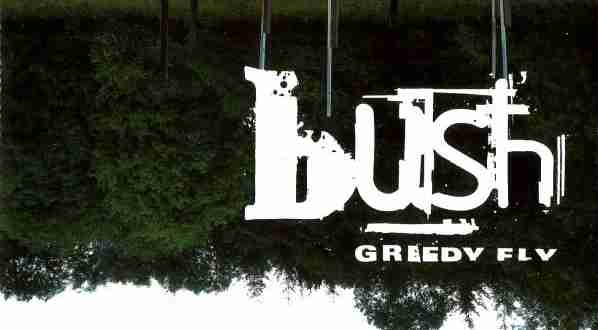 BUSH: GREEDY FLY Single Album (1996)