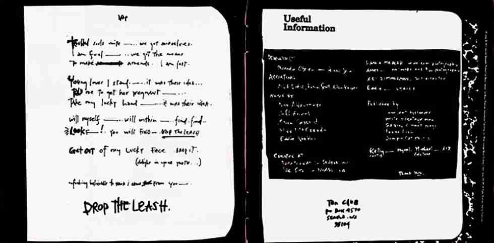 PEARL JAM: VS. Second Studio Album (1993)
